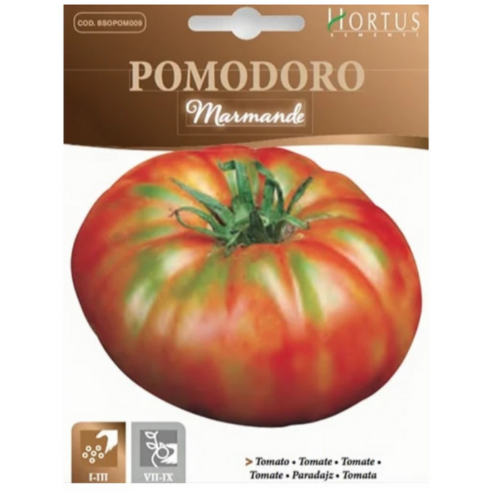 Hortus Pomodoro Marmande Tomatoes 1gm – Capital Seeds